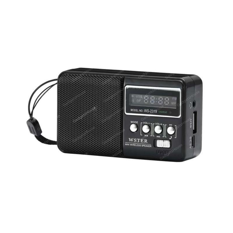 WSTER WS-2319 Wireless Bluetooth Built-In FM Radio | Daraz.com.np
