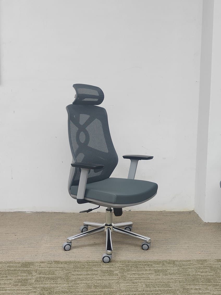 S818 Ergonomic Office Chair Adjustable Mesh Back Lumbar Support for ...