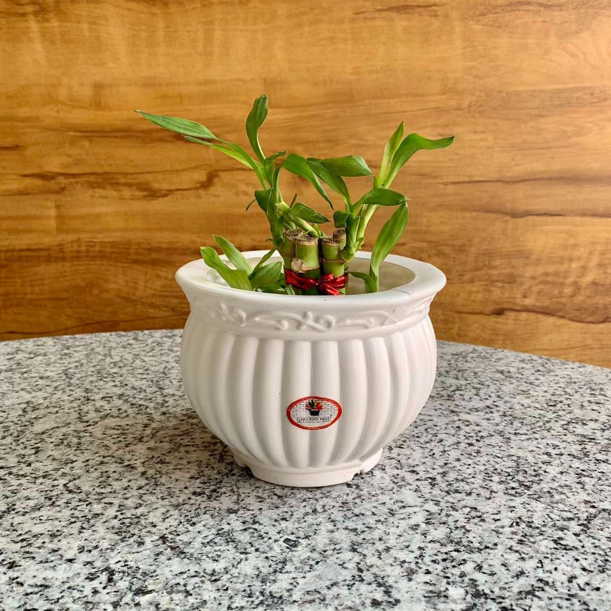 Kanha Matki Pot -5, Gamala, Indoor outdoor Gamala | Daraz.com.np