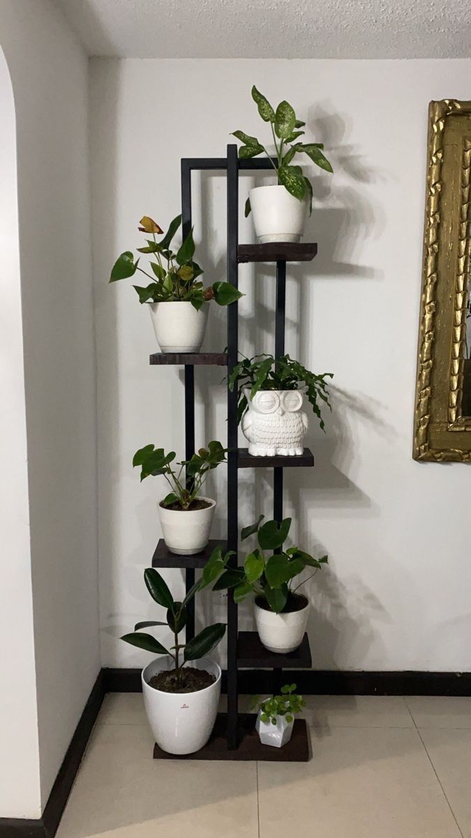 Tall 7 pot Gamala Stand | Daraz.com.np