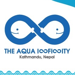 Shop online with The Aqua Infinity now! Visit The Aqua Infinity on Daraz.