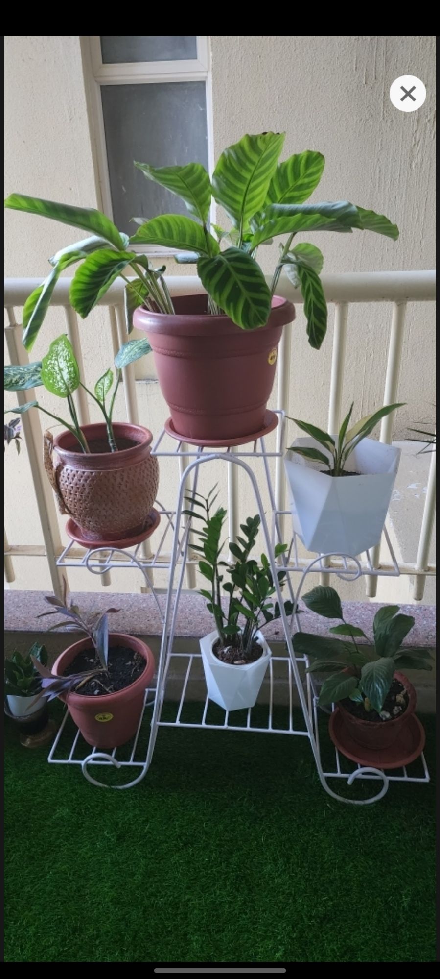 Metal Gamala Stand Flower Pot Holder 6 Pot Holder | Daraz.com.np